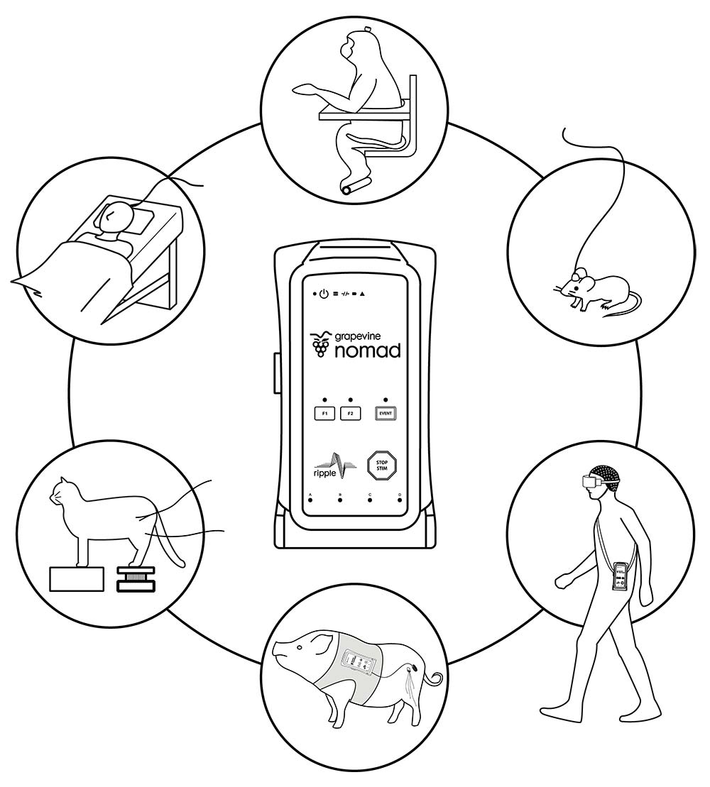 Applications – Ripple Neuro