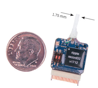 Modular Neuroscience Solutions- Ripple Neuro