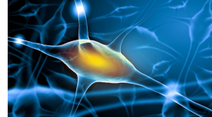 Ripple in Amplitude Magazine - Ripple Neuro