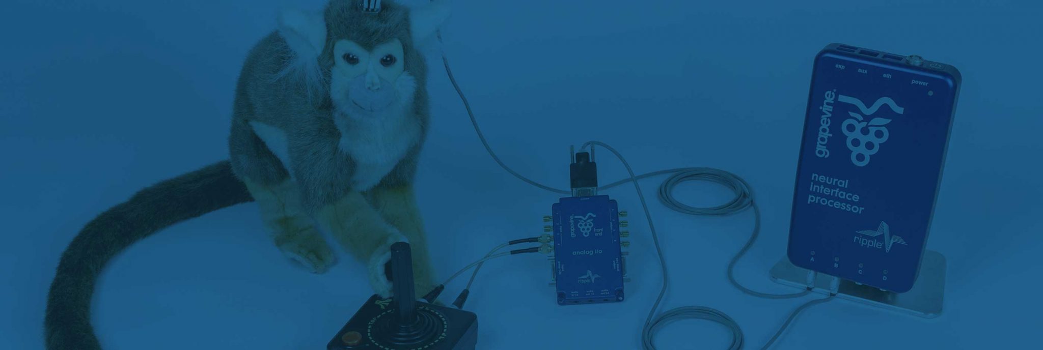 Trek Portable Electrophysiology System - Ripple Neuro