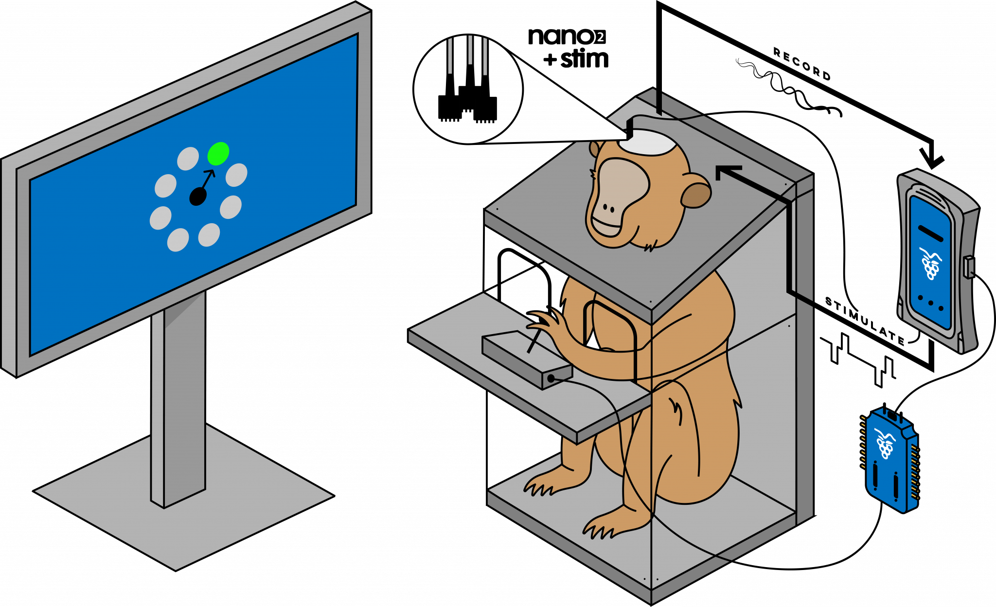 Closed Loop Stimulation | Neural Feedback - Ripple Neuro